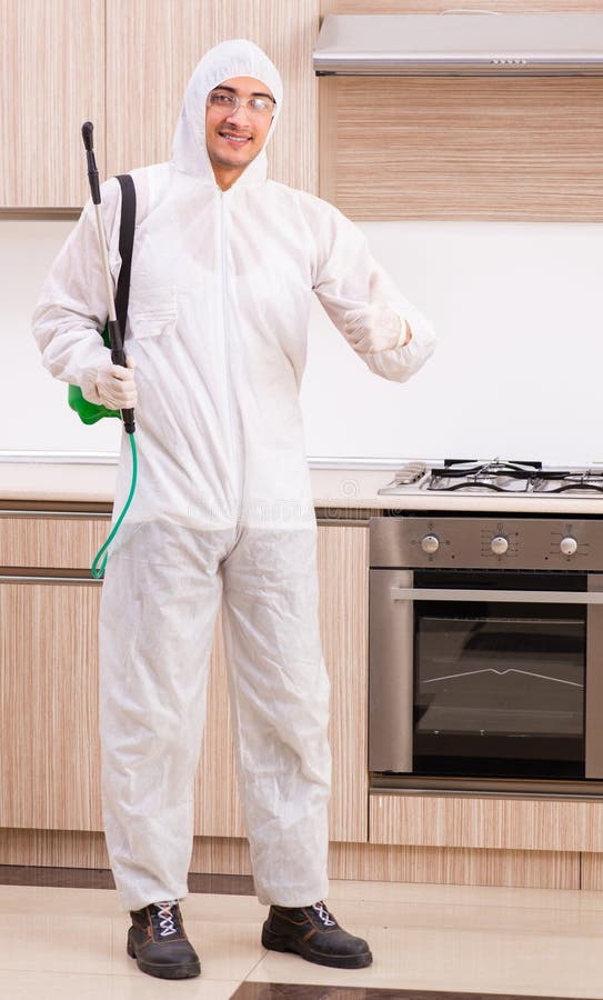Professional Contractor Doing Pest Control at Kitchen Stock Photo ...