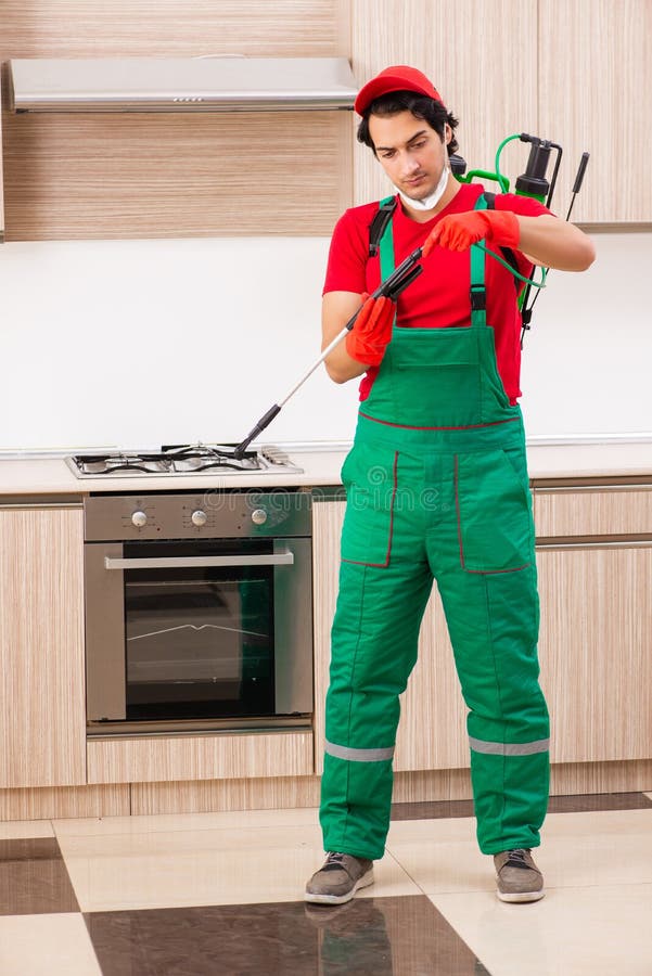 The Professional Contractor Doing Pest Control at Kitchen Stock Photo ...