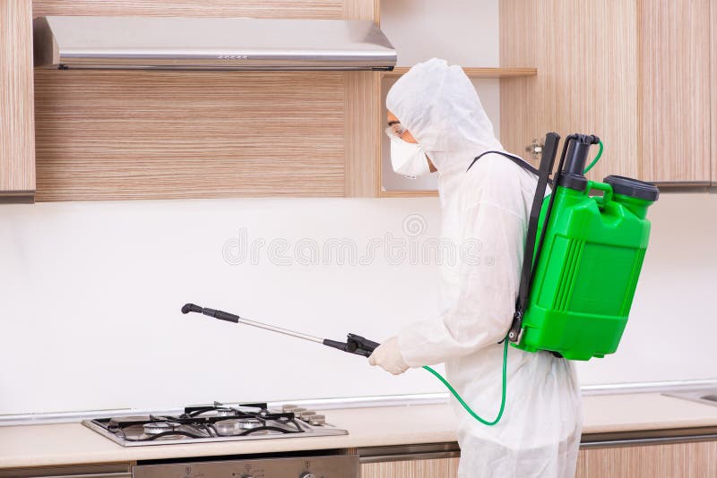 The Professional Contractor Doing Pest Control at Kitchen Stock Image ...