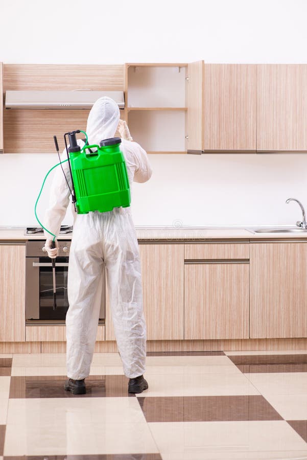 The Professional Contractor Doing Pest Control at Kitchen Stock Image ...