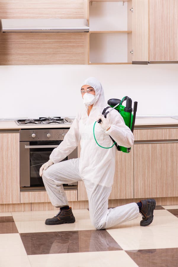 The Professional Contractor Doing Pest Control at Kitchen Stock Photo ...