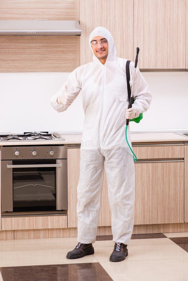The Professional Contractor Doing Pest Control at Kitchen Stock Photo ...