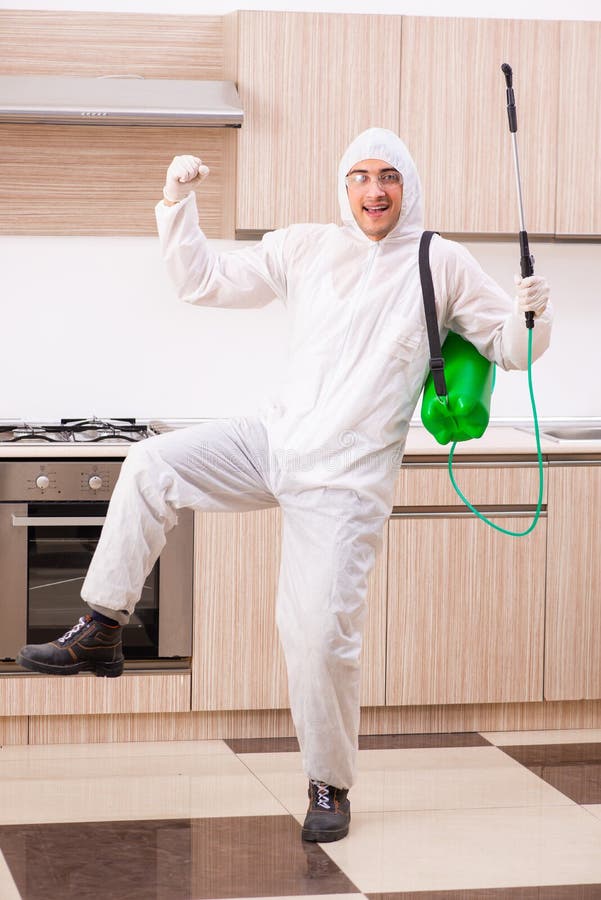 The Professional Contractor Doing Pest Control at Kitchen Stock Image ...