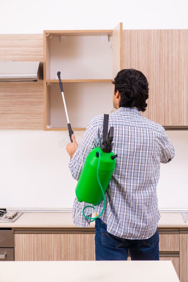 The Professional Contractor Doing Pest Control At Kitchen Stock Photo ...