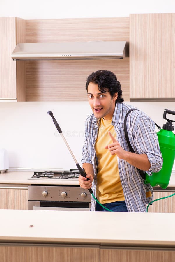 The Professional Contractor Doing Pest Control at Kitchen Stock Photo ...