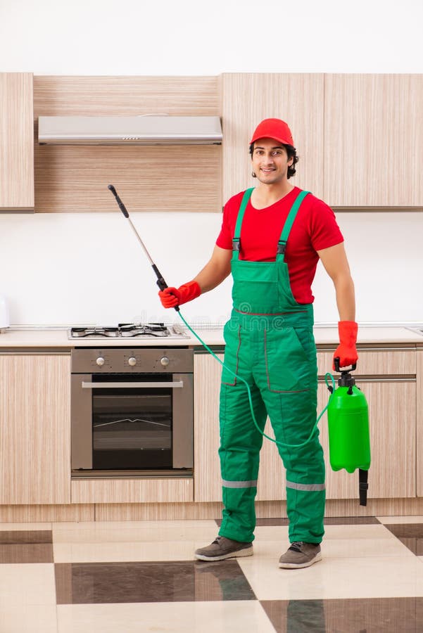 The Professional Contractor Doing Pest Control at Kitchen Stock Image ...