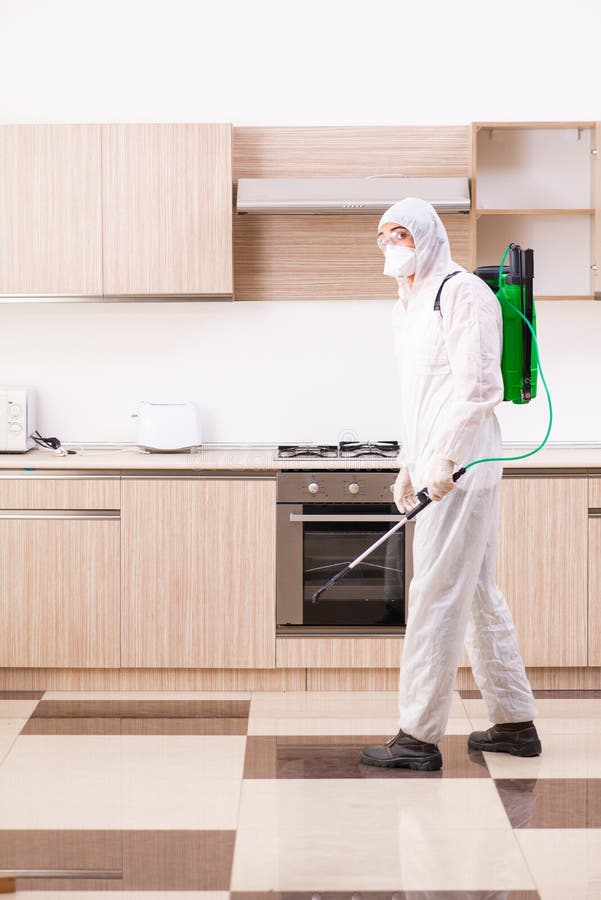 The Professional Contractor Doing Pest Control at Kitchen Stock Image ...