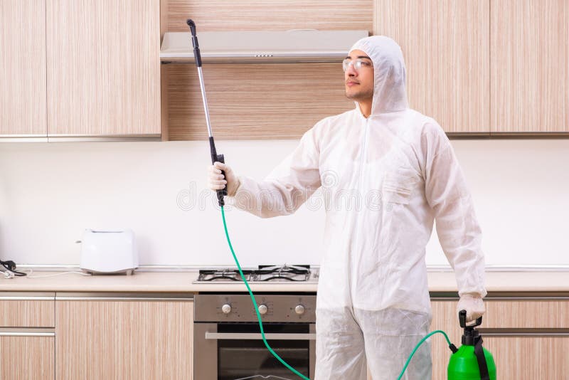 The Professional Contractor Doing Pest Control at Kitchen Stock Photo ...