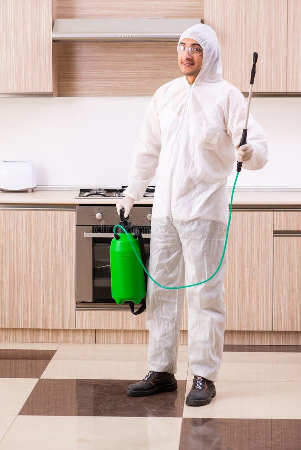 The Professional Contractor Doing Pest Control at Kitchen Stock Photo ...