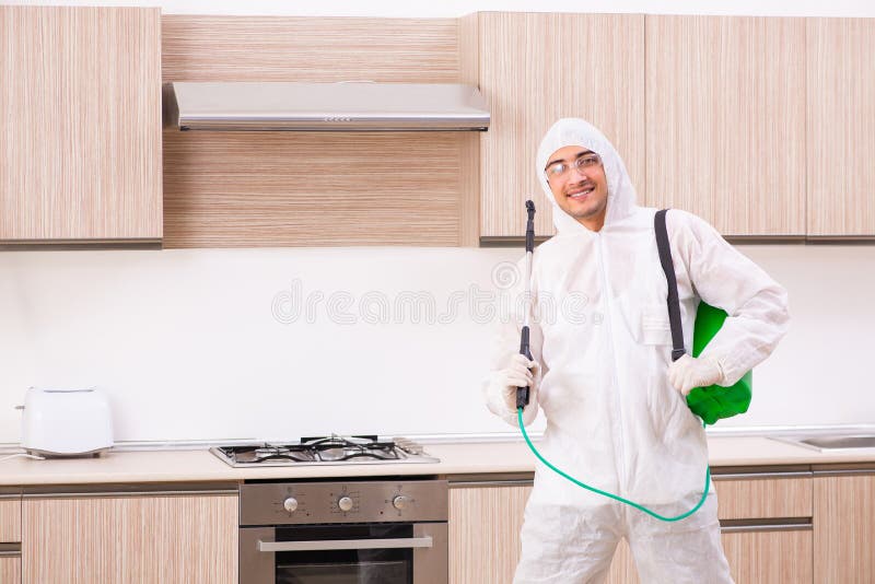 The Professional Contractor Doing Pest Control at Kitchen Stock Image ...