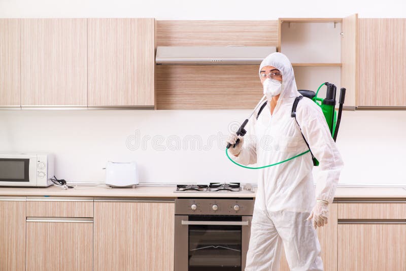 The Professional Contractor Doing Pest Control at Kitchen Stock Image ...