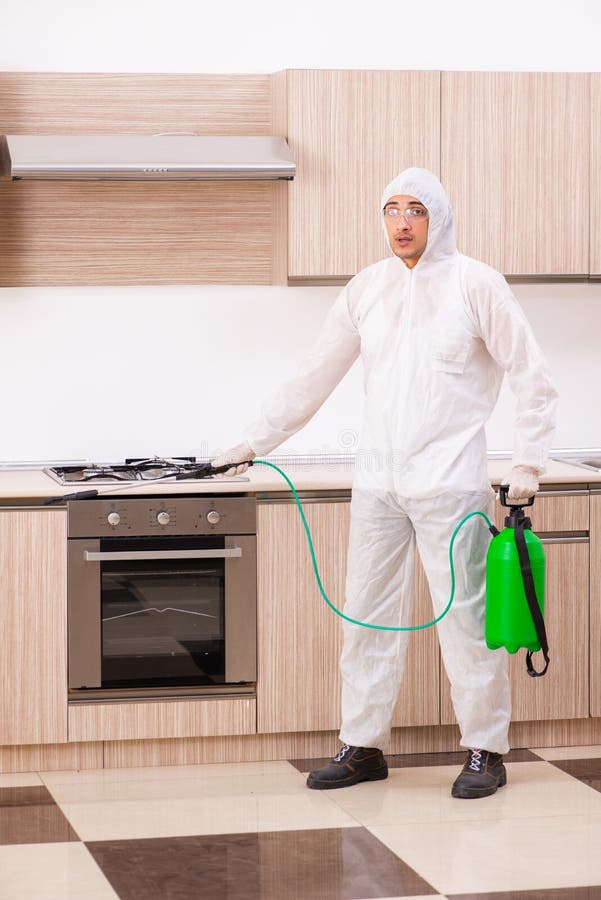 The Professional Contractor Doing Pest Control at Kitchen Stock Photo ...