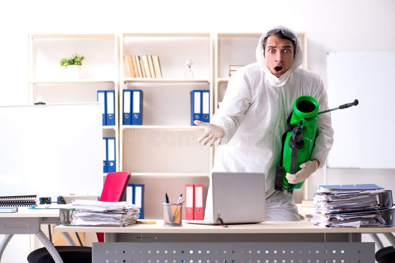 The Professional Contractor Doing Pest Control at Office Stock Image ...
