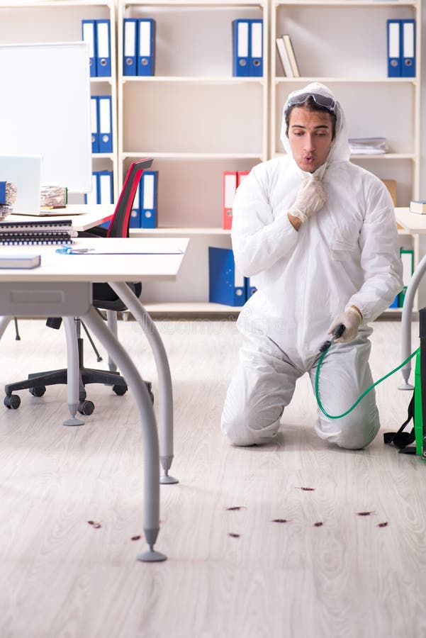 The Professional Contractor Doing Pest Control at Office Stock Photo ...