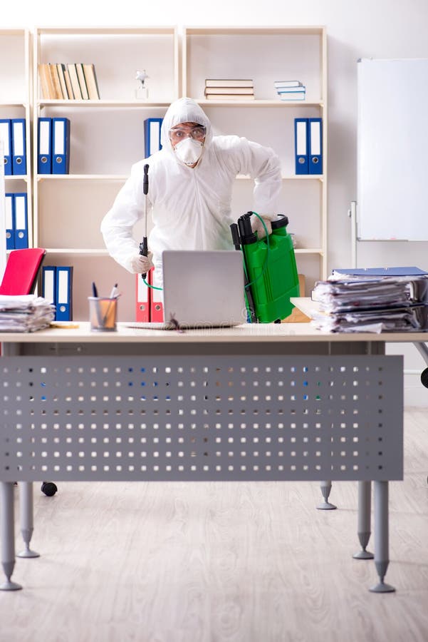 The Professional Contractor Doing Pest Control at Office Stock Photo ...
