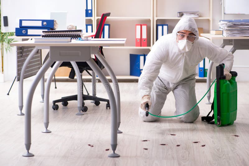 The Professional Contractor Doing Pest Control at Office Stock Image ...