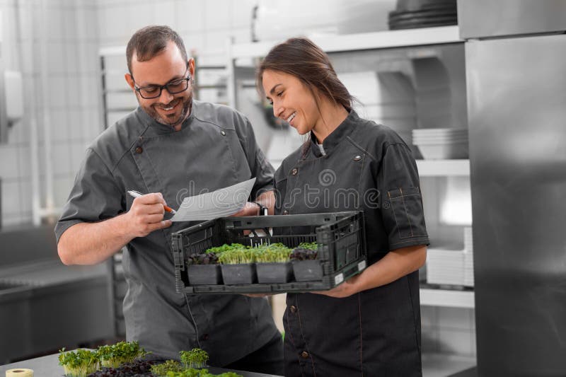 Professional Cooks Holding Microgreen in Small Boxes in Restaurant ...