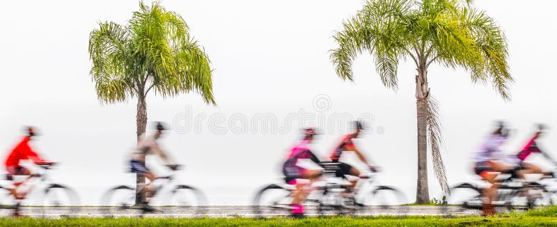 Professional Cyclists Riding Their Bikes Very Fast Stock Image - Image ...