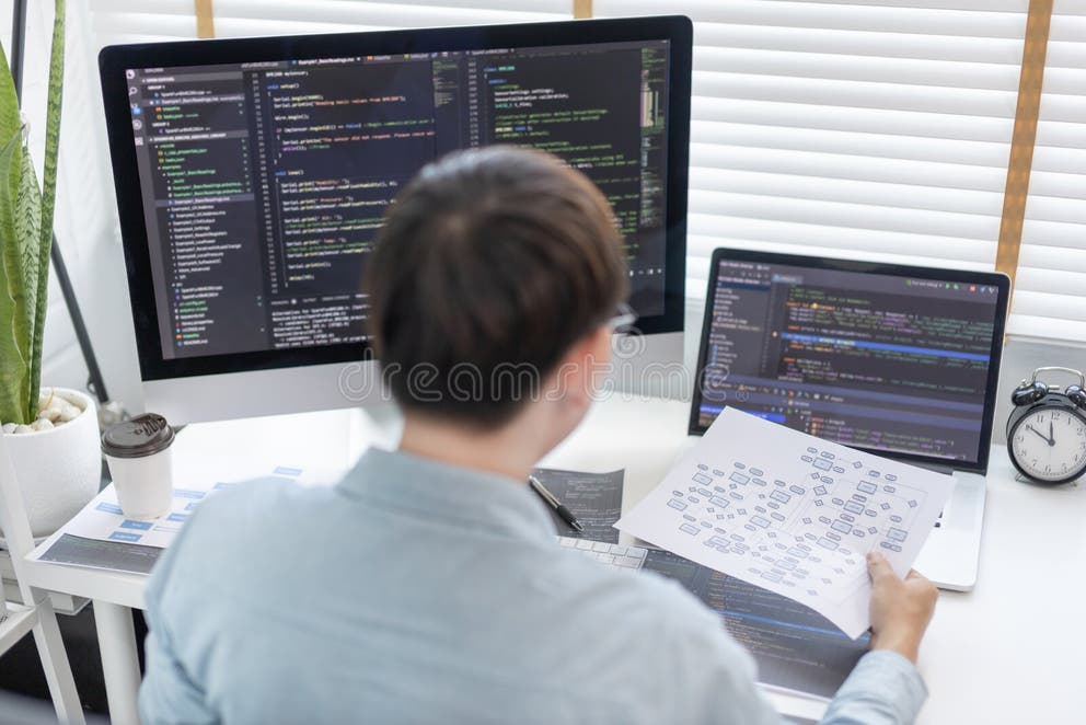 Professional Development Programmers are Analyzing the Information in ...