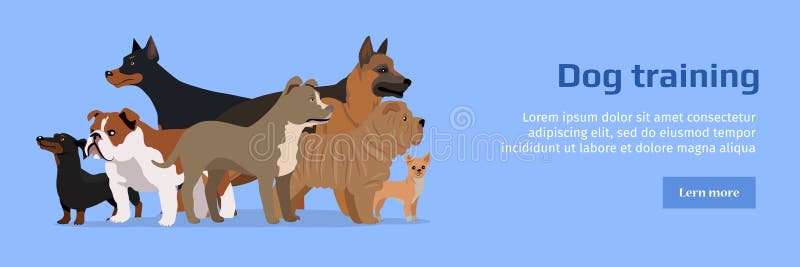 Dog Training Background Stock Illustrations – 6,934 Dog Training ...