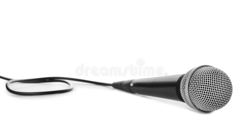 Professional Dynamic Microphone. Concert Microphone for Voice Recording ...