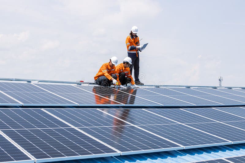 Professional Engineer Maintaining Solar Panels on Solar Cell Farm Stock ...