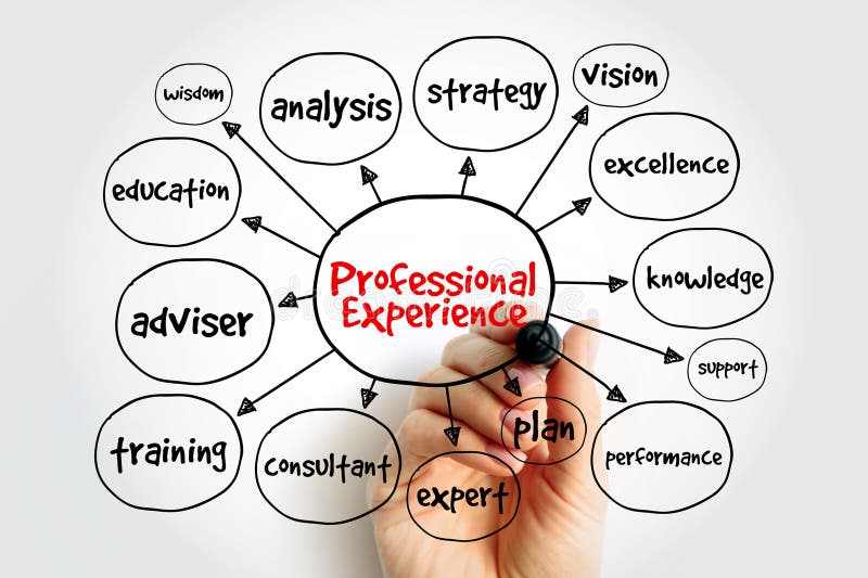 Professional Experience Mind Map Business Concept Presentations Reports ...