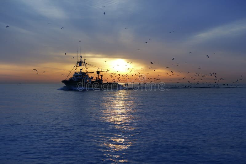 Professional Fishing Boat Seagull Sunrise Stock Photo - Image of fish ...