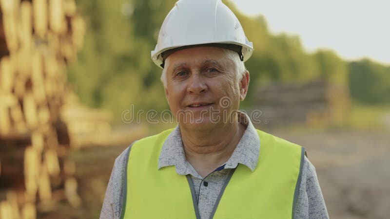 Professional Forestry Engineer in Uniform Wearing Protective Helmet ...