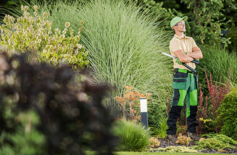 Professional Garden Worker with Pro Scissors in His Hands Stock Image ...