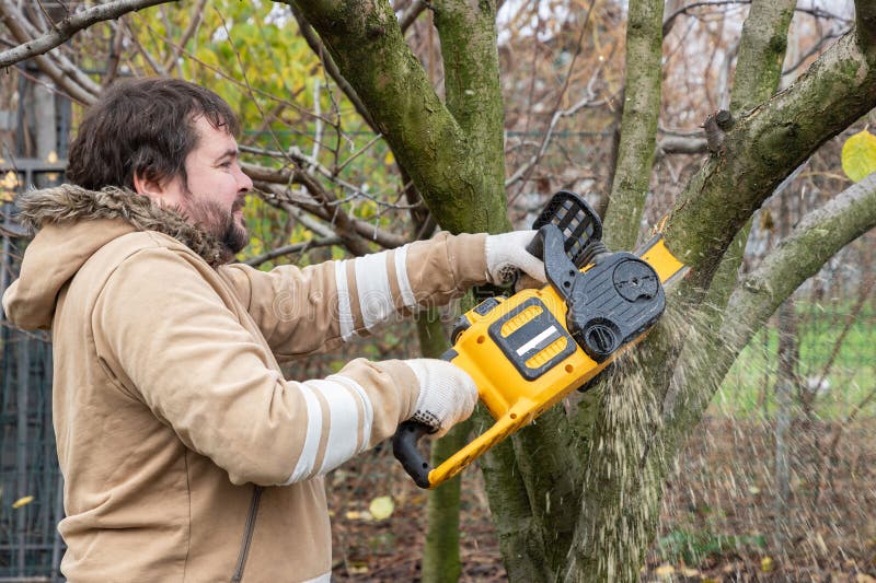 Professional Gardener Cuts Branches on a Tree, with Using Electric ...