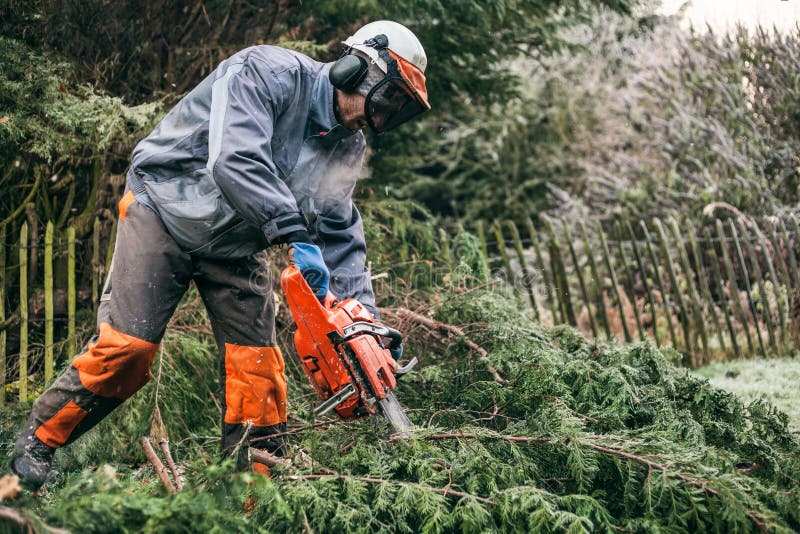Professional Gardener Using Chainsaw Stock Image - Image of adult ...