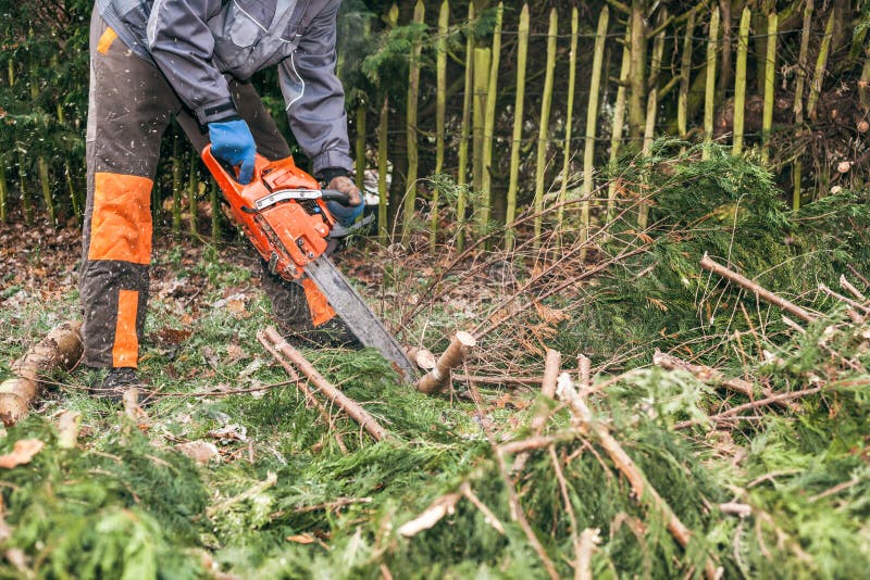 Professional Gardener Using Chainsaw Stock Photo - Image of lumberjack ...