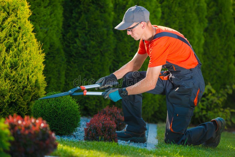 Professional Gardener at Work Stock Photo - Image of shrub, equipment ...