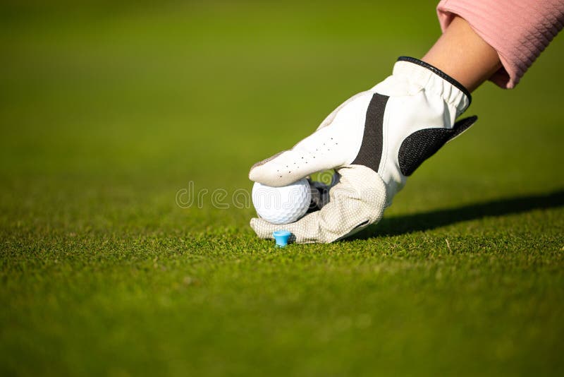 Professional Golf Player Setting Up the Golf Ball on a Stand on Grass ...