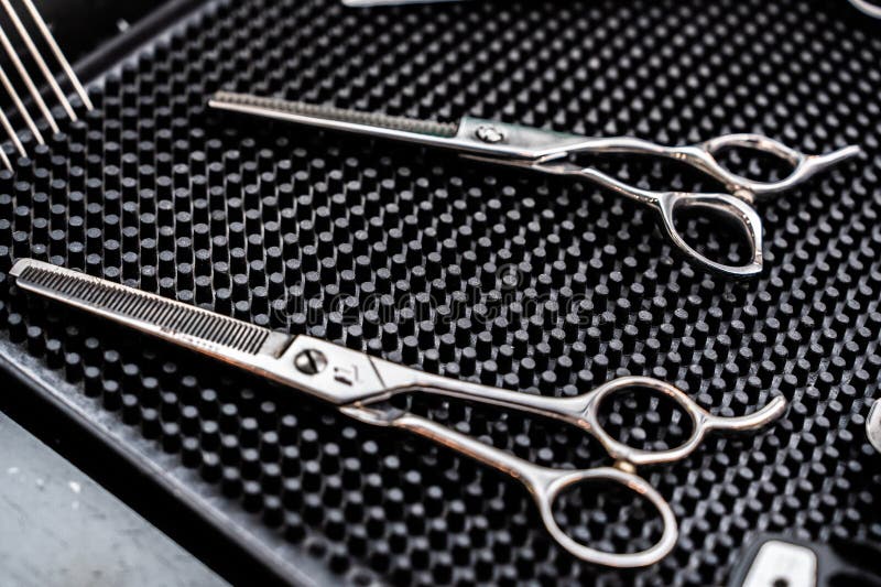 Professional Hair Cutting Scissors Displayed on a Textured Surface for ...
