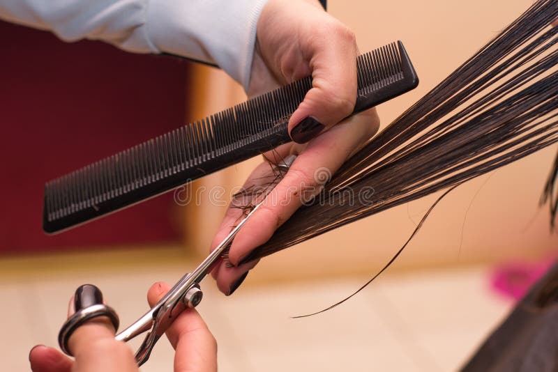 Professional Hair Stylist at Work Stock Image - Image of design, fringe ...