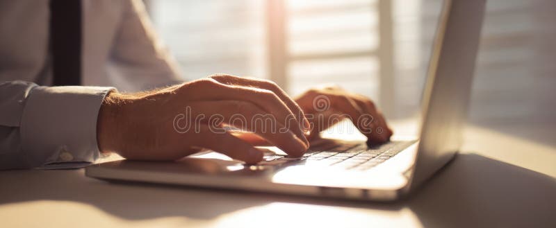 The Professional Hands Typing on a Laptop in a Sunlit Office Setting ...