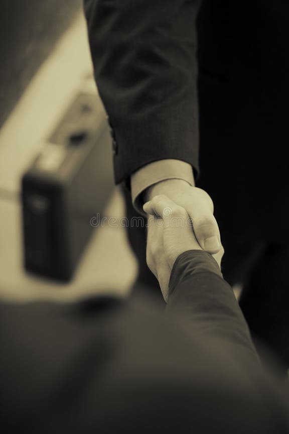 Professional Handshake stock photo. Image of pact, hire - 4413376