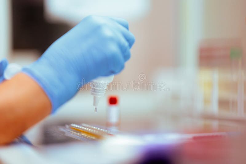 Nurse Using a Substance for Mycoplasma Analysis in a Lab Stock Photo ...
