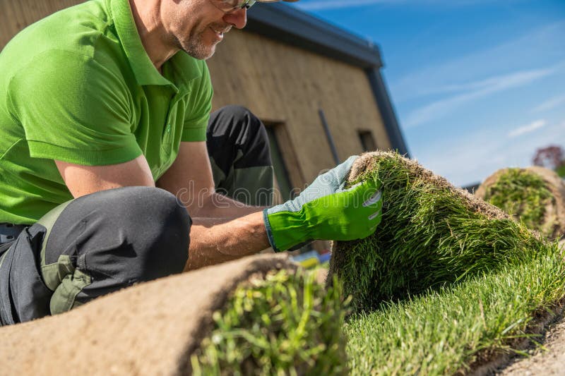 Professional Landscaper Laying Grass on Lawn Stock Image - Image of ...