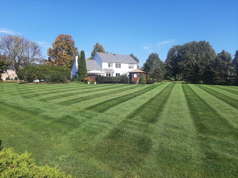 Professional Lawn Cutting stock image. Image of agriculture - 237685247