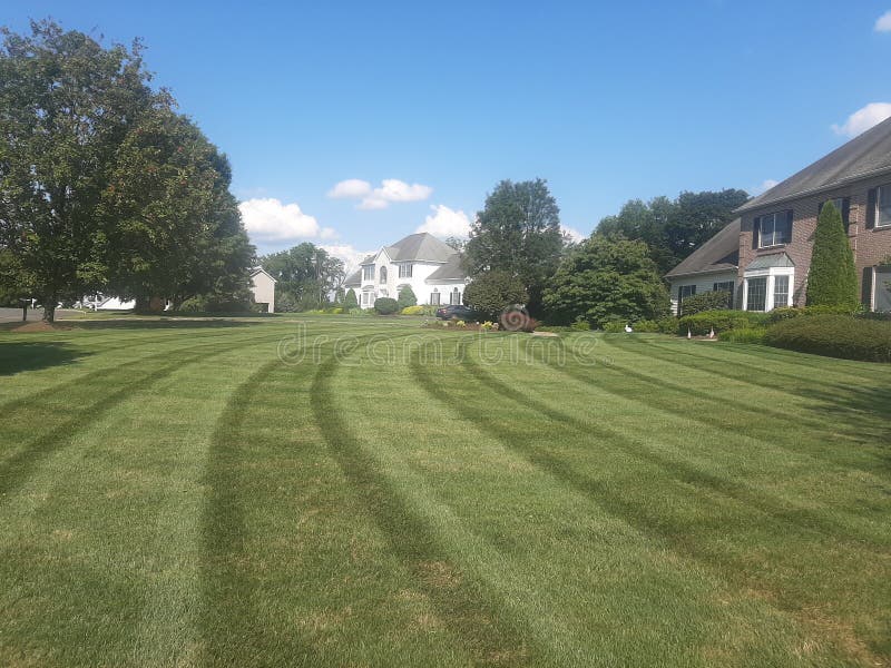 Professional Lawn Cutting stock photo. Image of field - 237685554