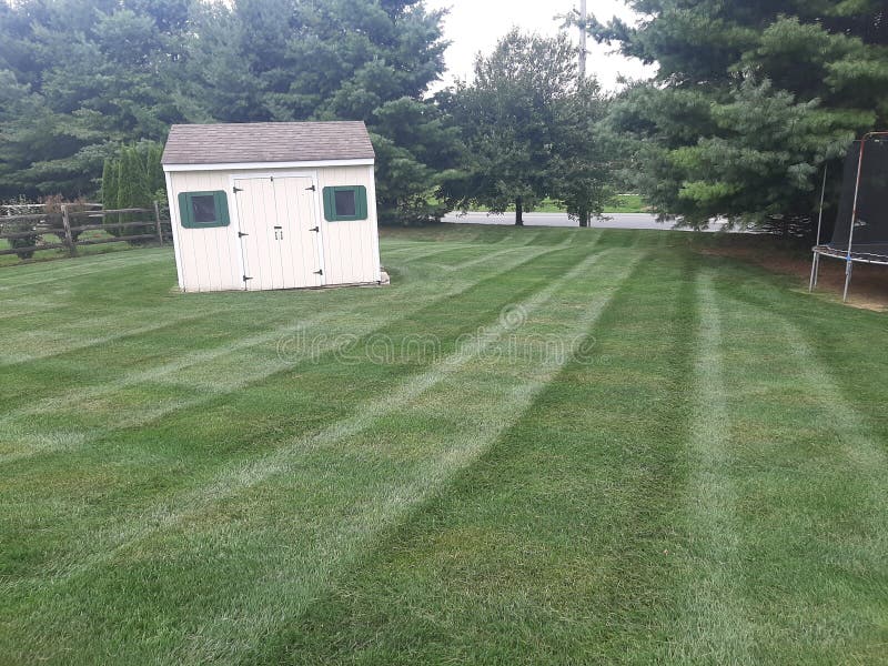 Professional Lawn Cutting stock image. Image of yard - 237685485