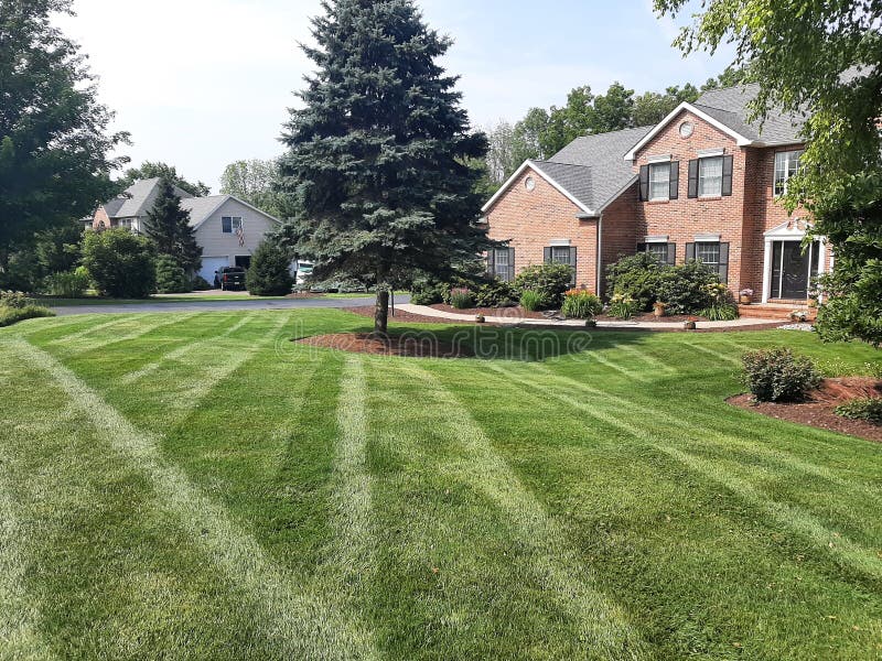 Professional Lawn Cutting stock image. Image of home - 237685745