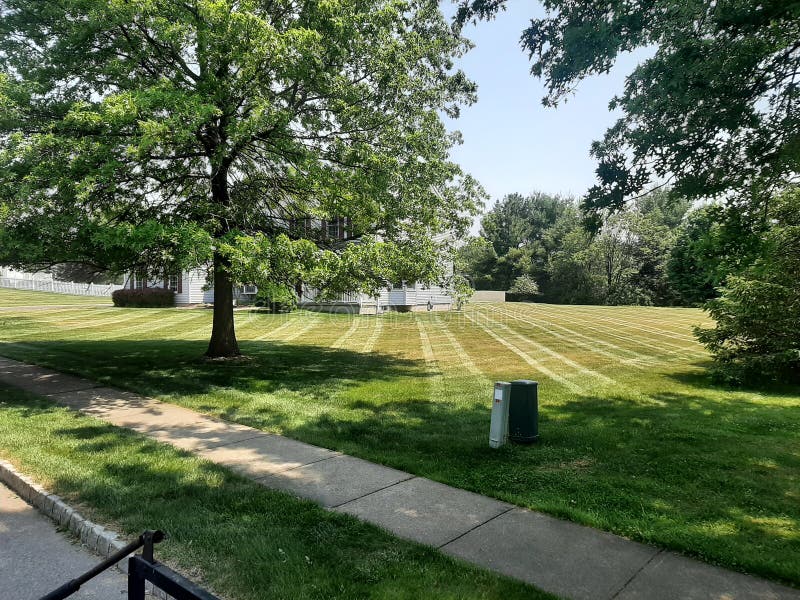 Professional Lawn Cutting stock photo. Image of park - 237685844