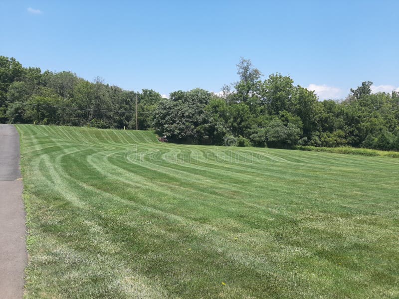 Professional Lawn Cutting stock image. Image of grassland - 237685717