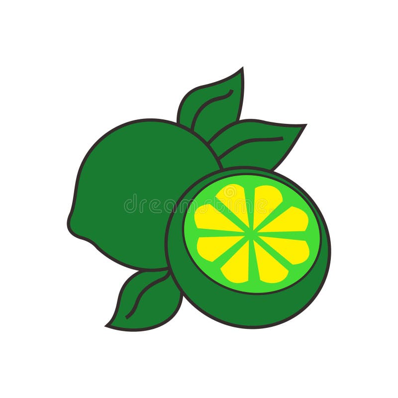 Professional Lime Vector Art Image Stock Illustration - Illustration of ...