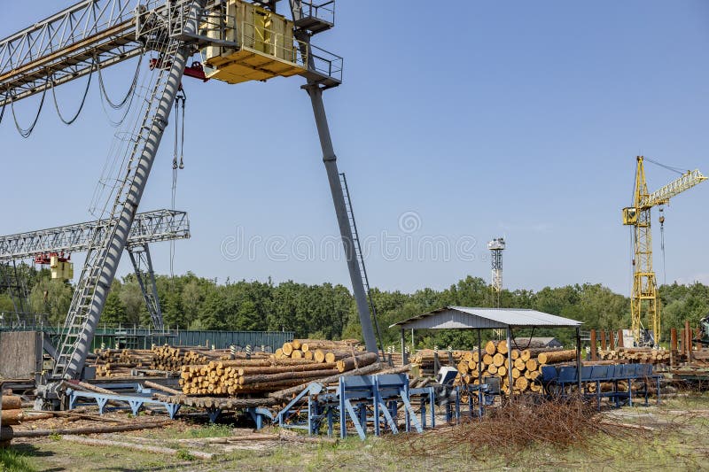 Professional Logging. Wood Processing Plant Stock Photo - Image of ...