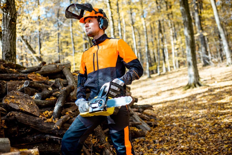 Professional Lumberjack in the Forest Stock Image - Image of helmet ...